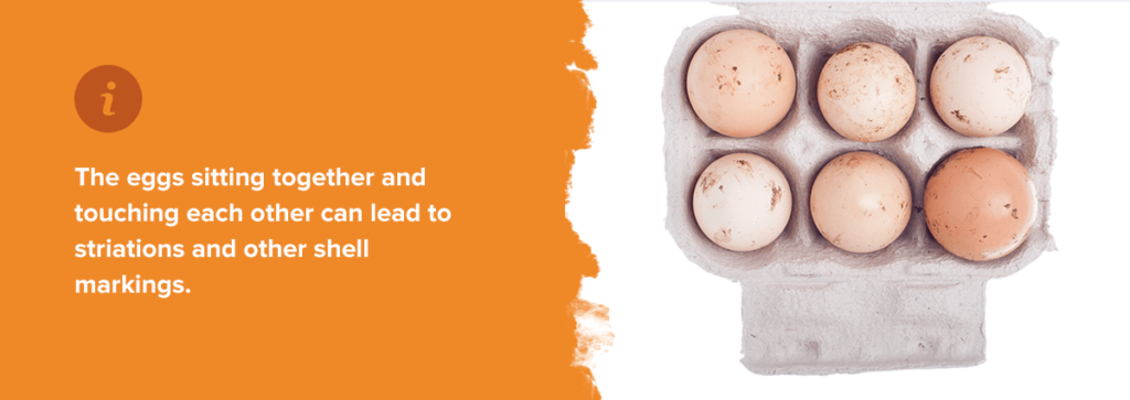 Why Does My Egg Look Weird? (And Is it Safe to Eat?) - Sauder's Eggs