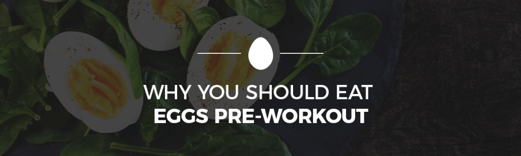 Eggs Before Exercise: Protein for Muscle | Sauder's
