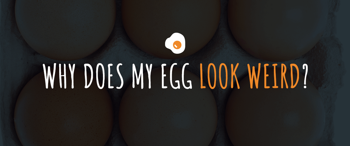 How to Spot Bad Eggs: 6 Simple Tests | Sauder's Eggs