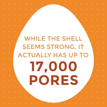 How Eggs Transform Your Cooking | Sauder's Eggs