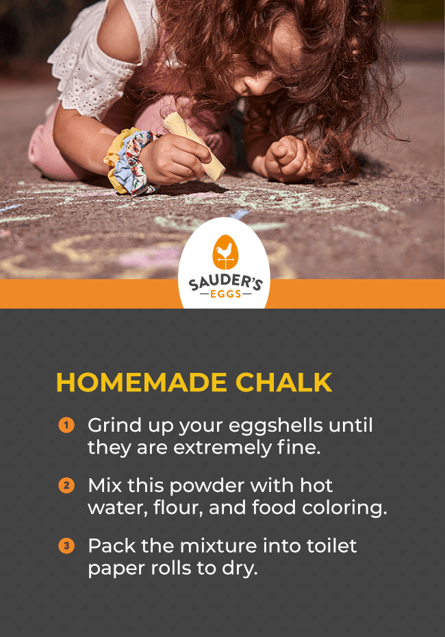 20 Clever Ways to Reuse Eggshells | Sauder's Eggs