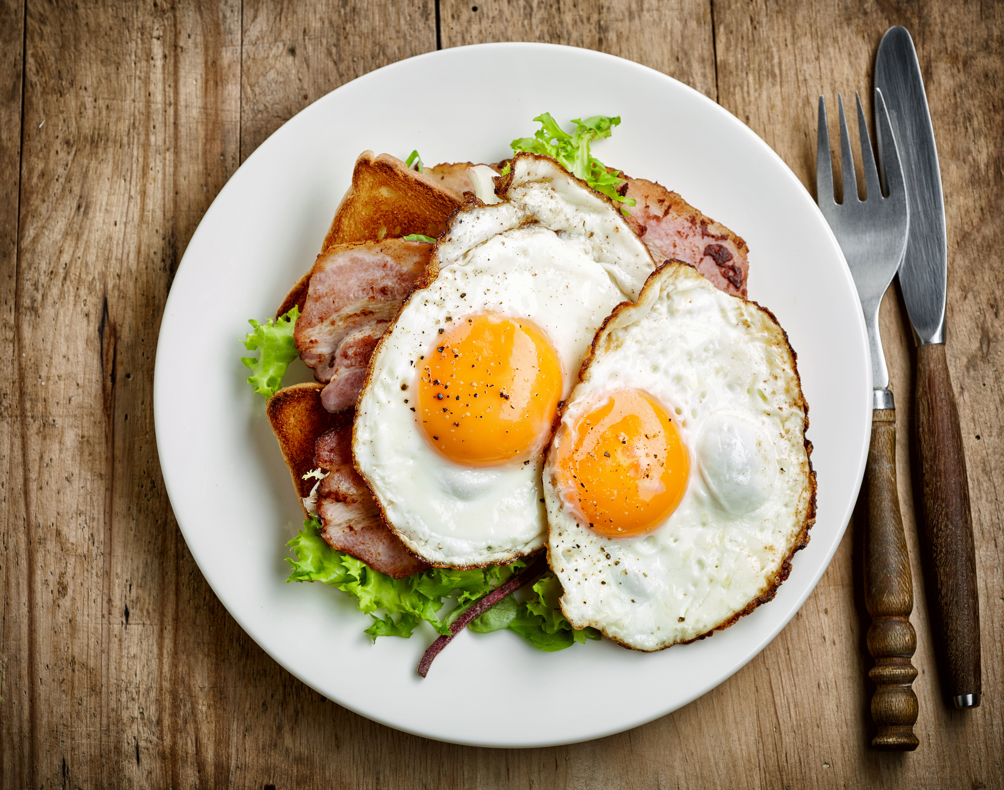 Egg Nutrition - Sauder's Eggs